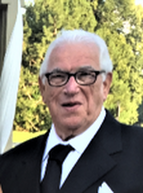 Ronald Solomon Obituary - Buffalo Grove, IL | Goldman Funeral Group